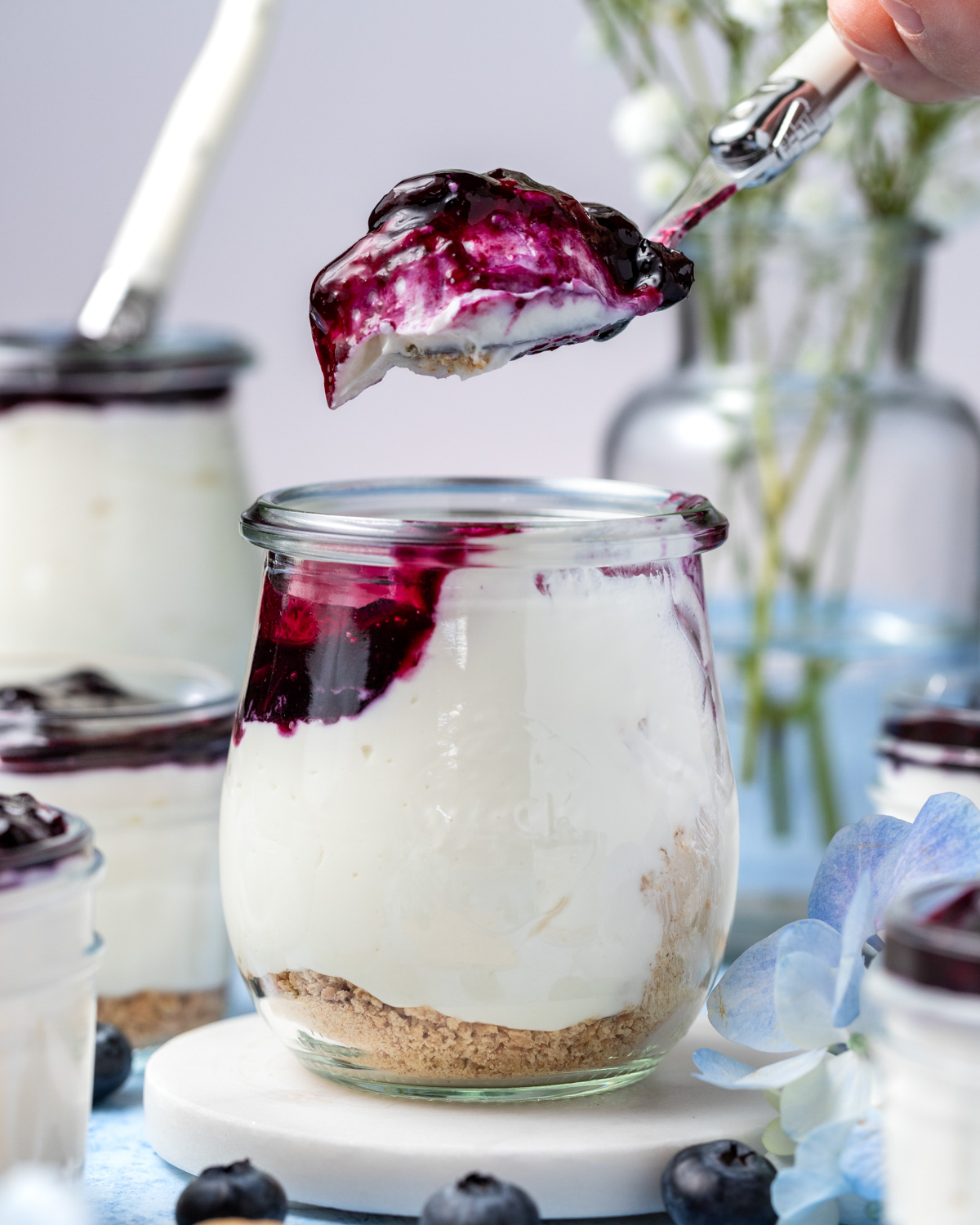 No-Bake Protein Cheesecake - Peanut Butter and Fitness